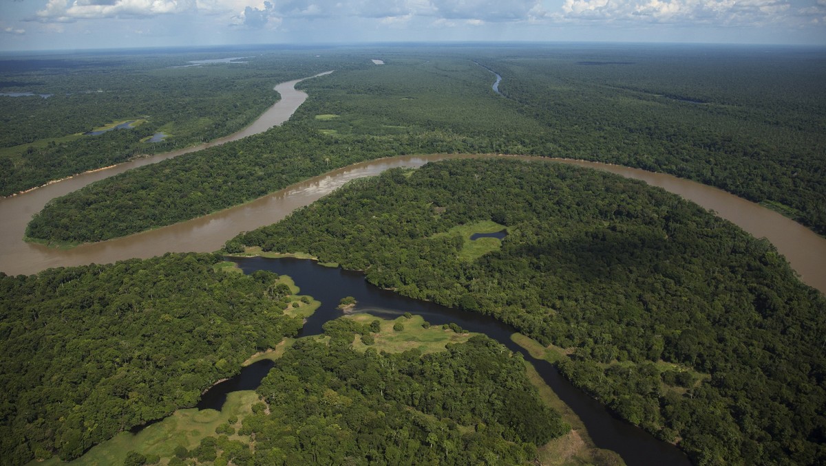 Fundo Amazônia define prioridades até 2025 de proteção e ...