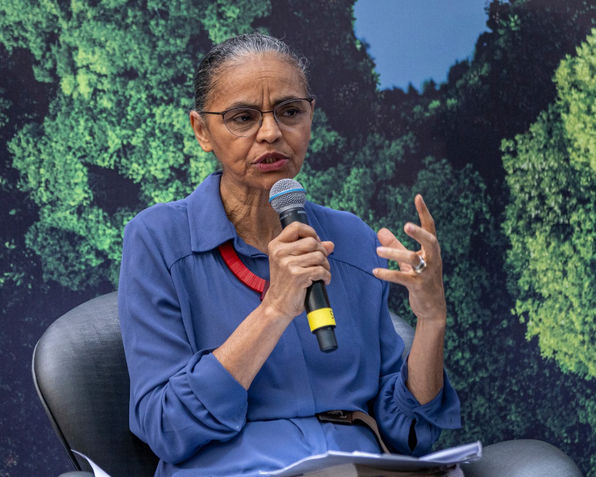 Marina Silva diz que Brasil reduziu em 40% desmatamento na Amazônia no ...