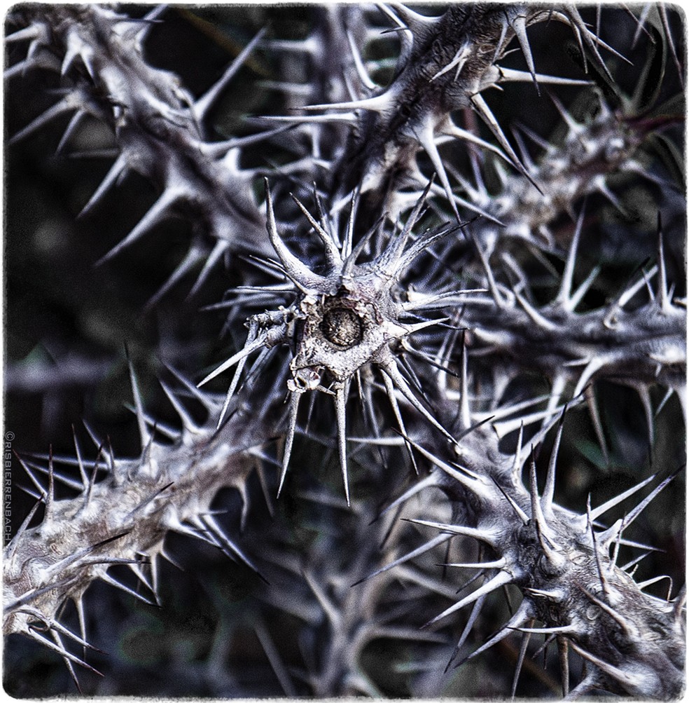 Michel Laub: Tolstói e as leis da história diante do mar | Eu & | Valor Econômico