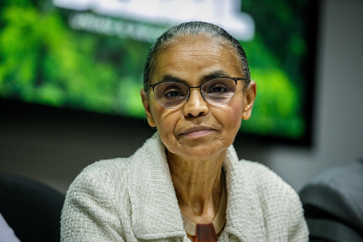 Na COP 16, Marina defende novos mecanismos financeiros para enfrentar ...