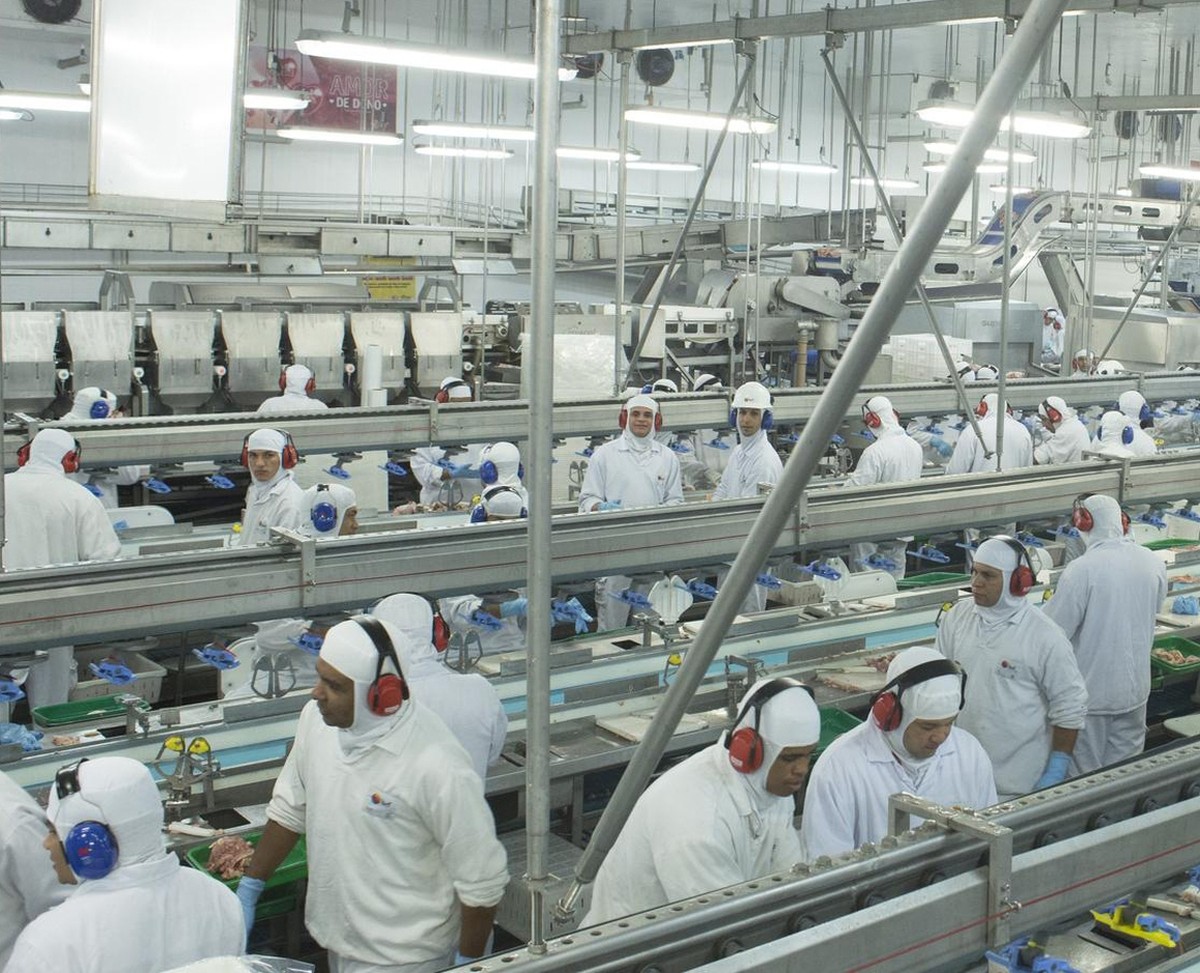 BRF capta R$ 5,4 bi em 'follow-on'; Marfrig e Salic investem | Finanças ...