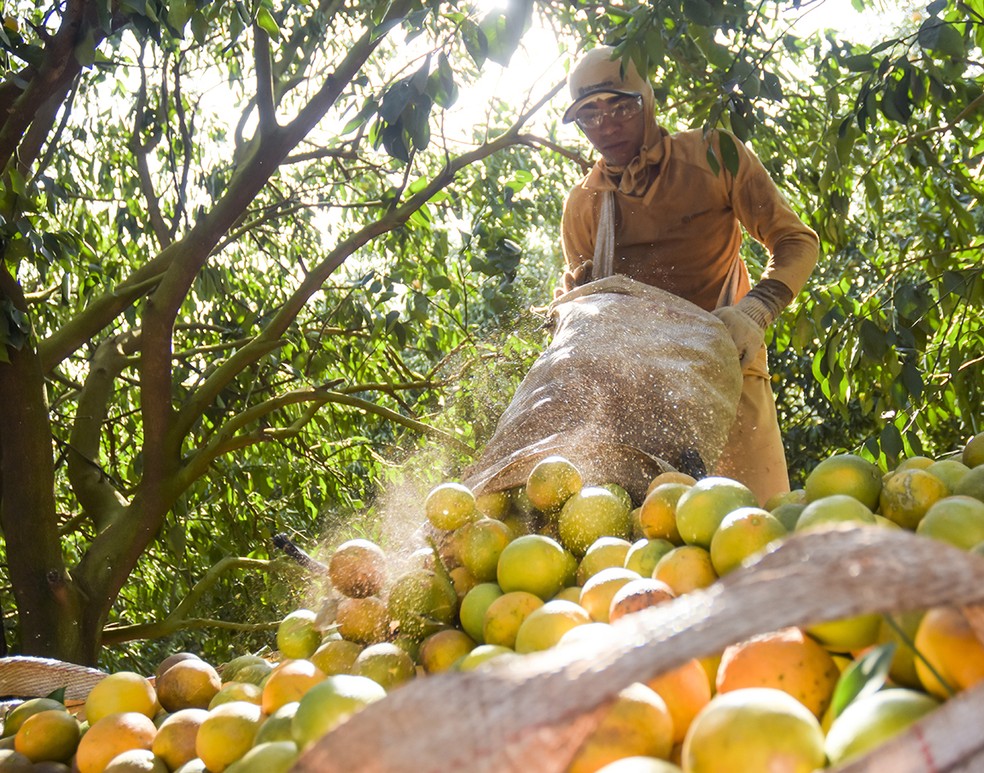 Índice de commodities do BC tem baixa de 0,77% em junho | Brasil ...
