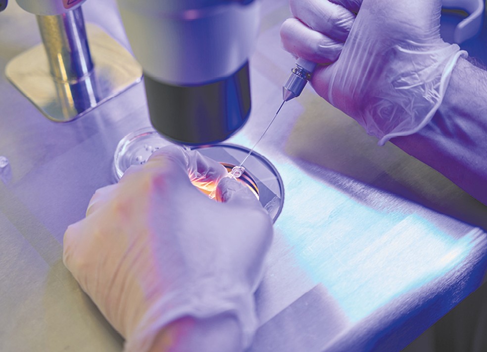 Ações da MorphoSys sobem 14% com aquisição de US$ 2,9 bi pela Novartis ...