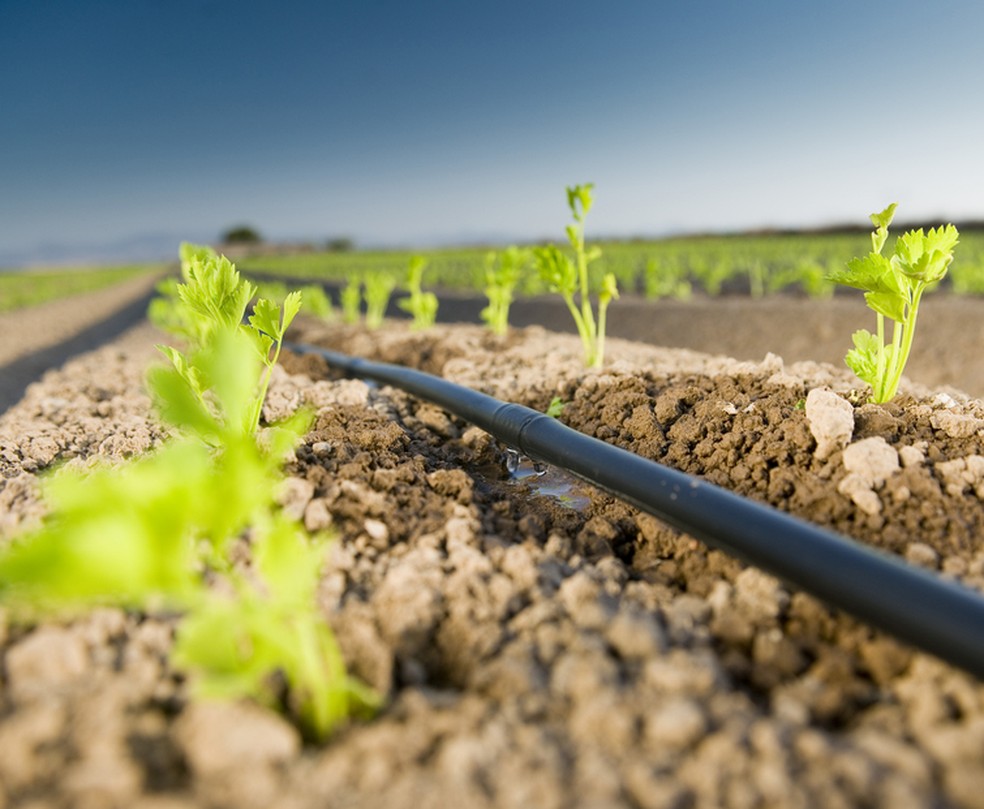 Equipamentos para irrigação em alta no país | Empresas | Valor Econômico