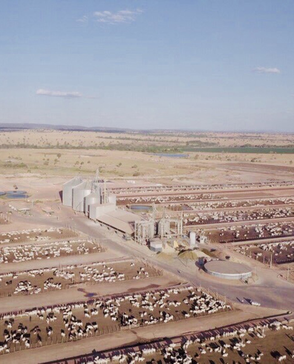 Prodap leva inteligência artificial para a pecuária | Agronegócios ...