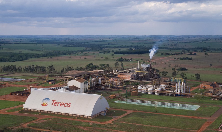 Tereos celebra 25 anos no Brasil cultivando um futuro sustentável ...