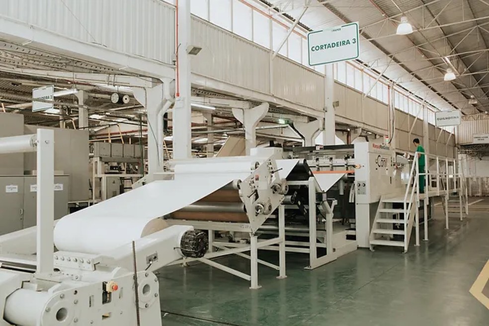 Forest Paper e Revita Ambiental vão investir R$ 60 milhões para ...