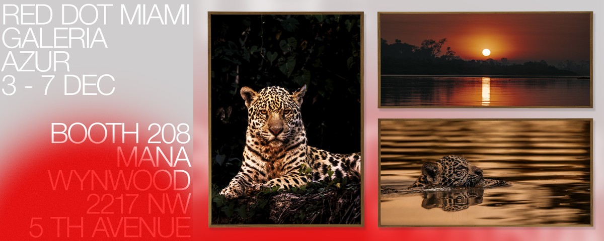 Fotógrafo brasileiro leva o Pantanal à Art Basel Miami 2025 | Dino ...