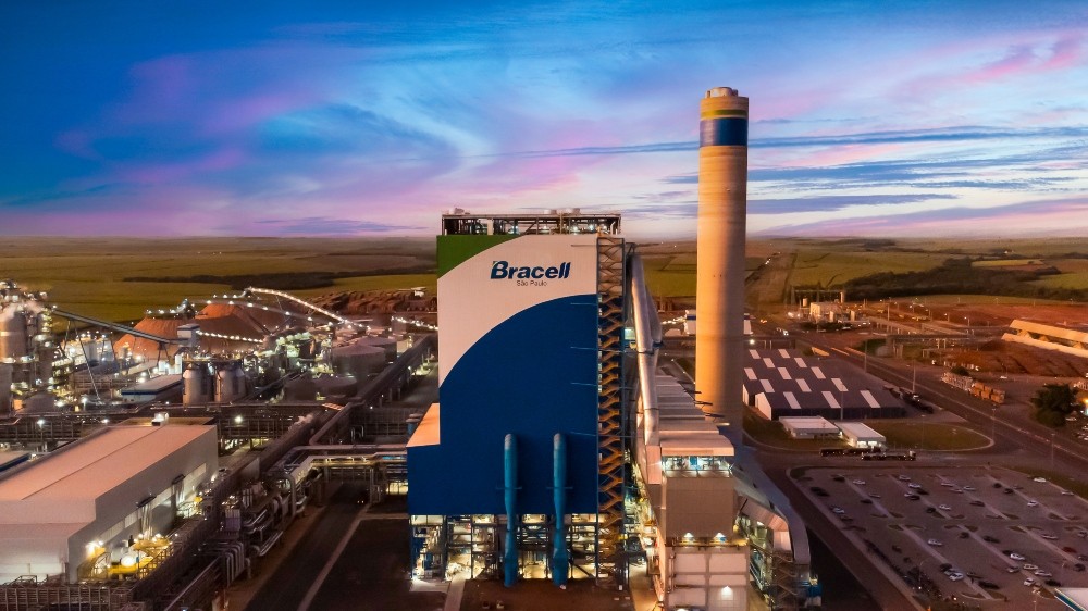 Bracell reforça ações de sustentabilidade para ampliar impacto positivo ...