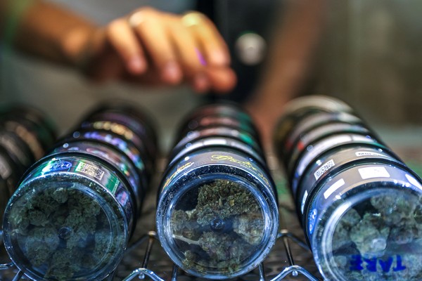 Tailândia pode voltar a criminalizar cannabis e gera apreensão em indústria de US$ 1 bilhão ...