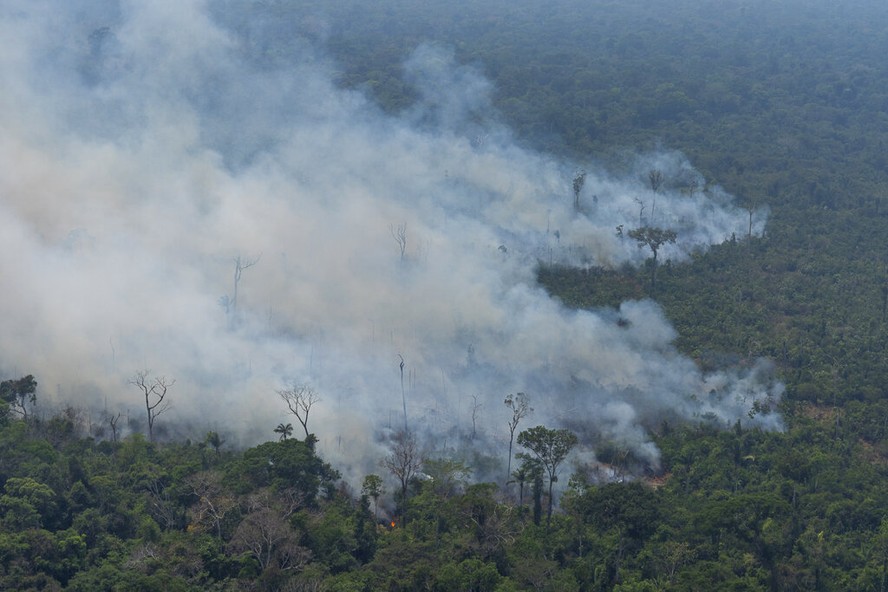 Laudo do MPF aponta que queimadas foram usadas para expandir áreas ...