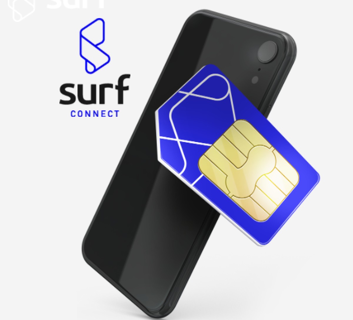 Um boi na linha: a disputa entre a cingapurense Plintron e a Surf ...