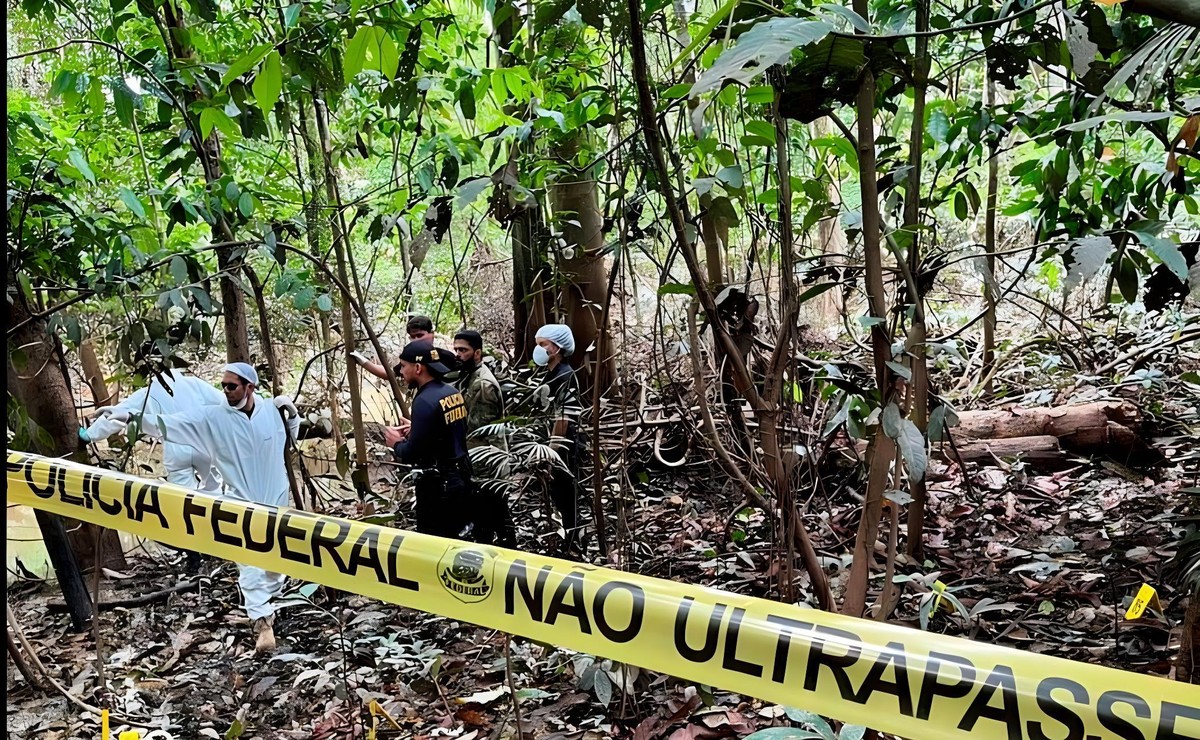 Foi Crime Político Diz Univaja Sobre Morte De Bruno E Dom Brasil