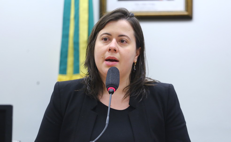 Sâmia Bomfim deixa CCJ e deputado de oposição vai relatar projeto que ...