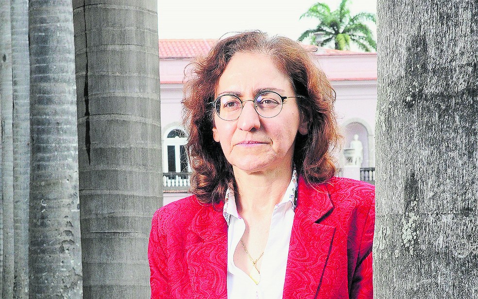 ‘Think tanks’ brasileiros passam bastão para África do Sul no G20 ...