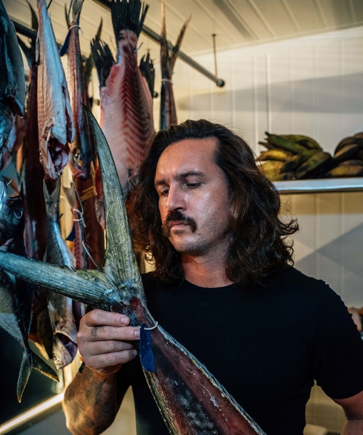 Cozinheiros descobrem o sabor dos peixes pequenos, sem valor comercial ...