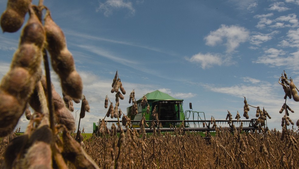 Índice de commodities do BC sobe 5,51% em junho | Brasil | Valor Econômico