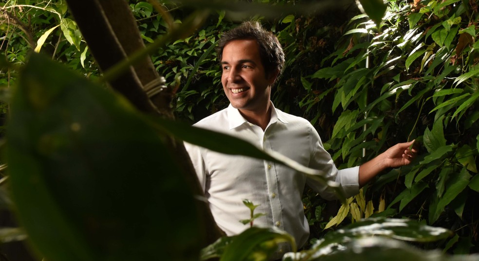 Mais empresas investem na ‘floresta em pé’ | Um só planeta | Valor ...