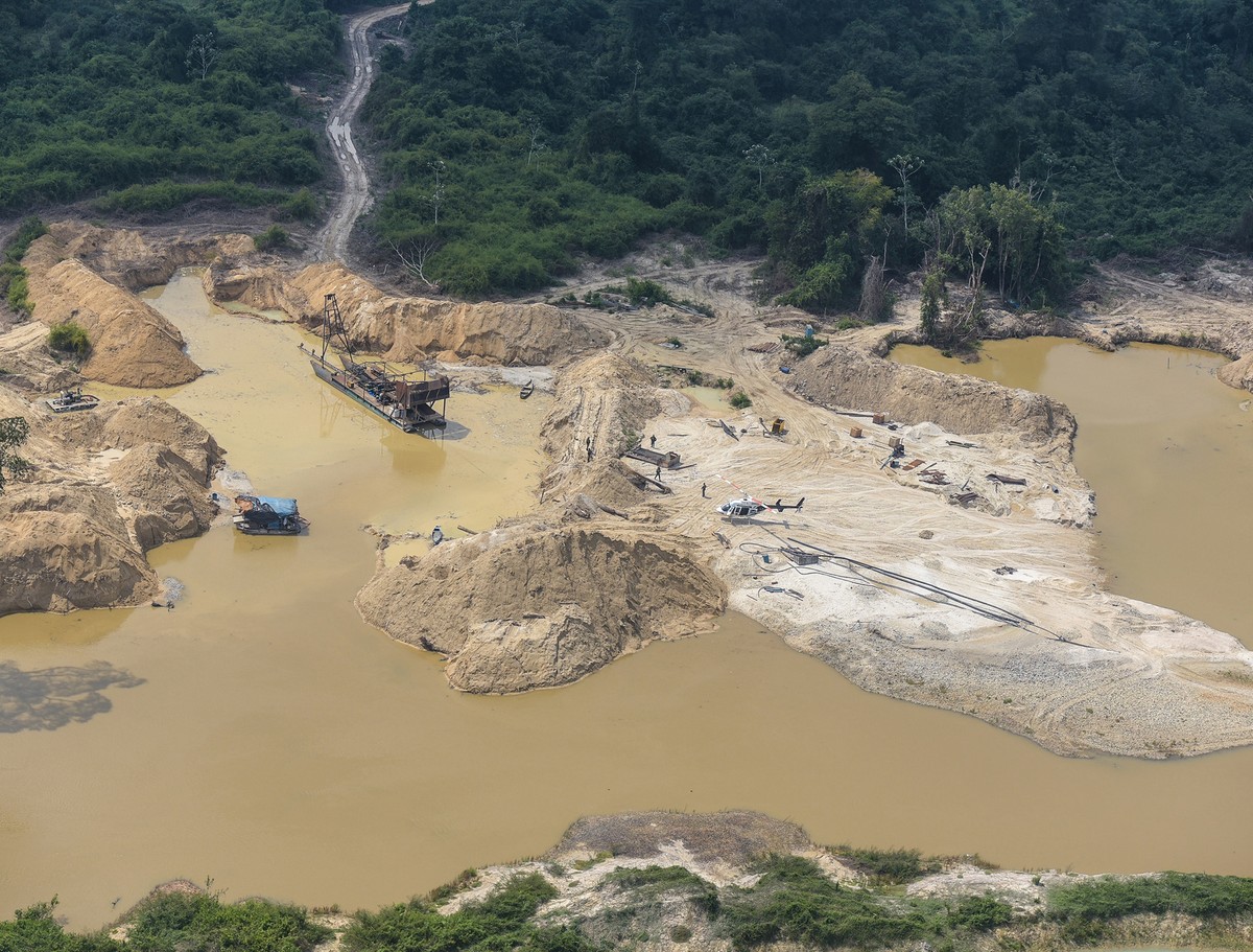 Greenpeace aponta lavagem de US$ 3,8 bi em ouro ilegal na Amazônia ...