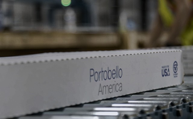 Portobello inicia operações em nova fábrica nos Estados Unidos ...