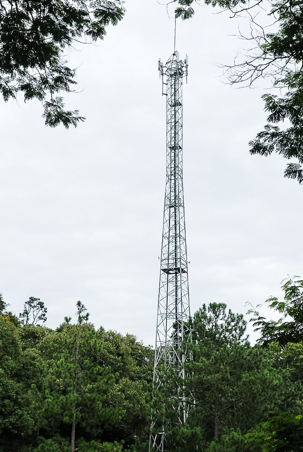 Anatel remarca reunião para decidir sobre acordo entre Winity e ...
