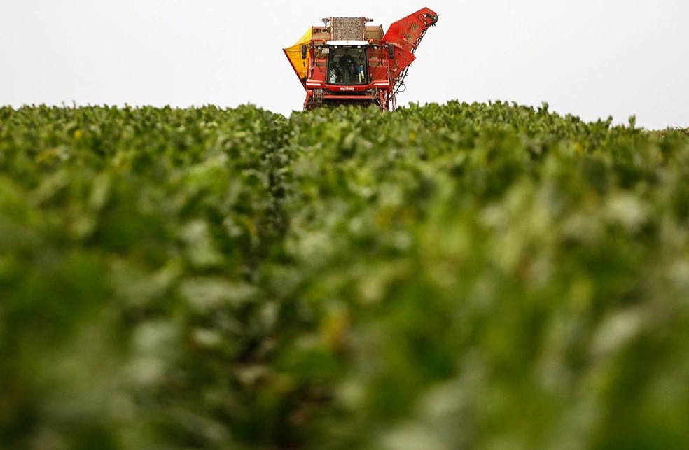Índice de commodities do BC sobe 4,61% em outubro | Brasil | Valor ...