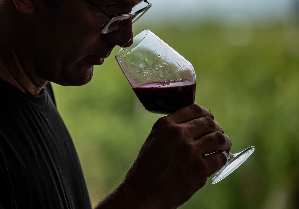 Jorge Lucki: Degustar é prestar atenção ao que se está bebendo, sem ...