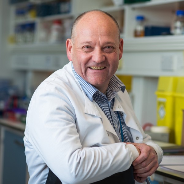 Você fica louco por um cochilo durante o dia? Fica irritadiço? Saiba ...