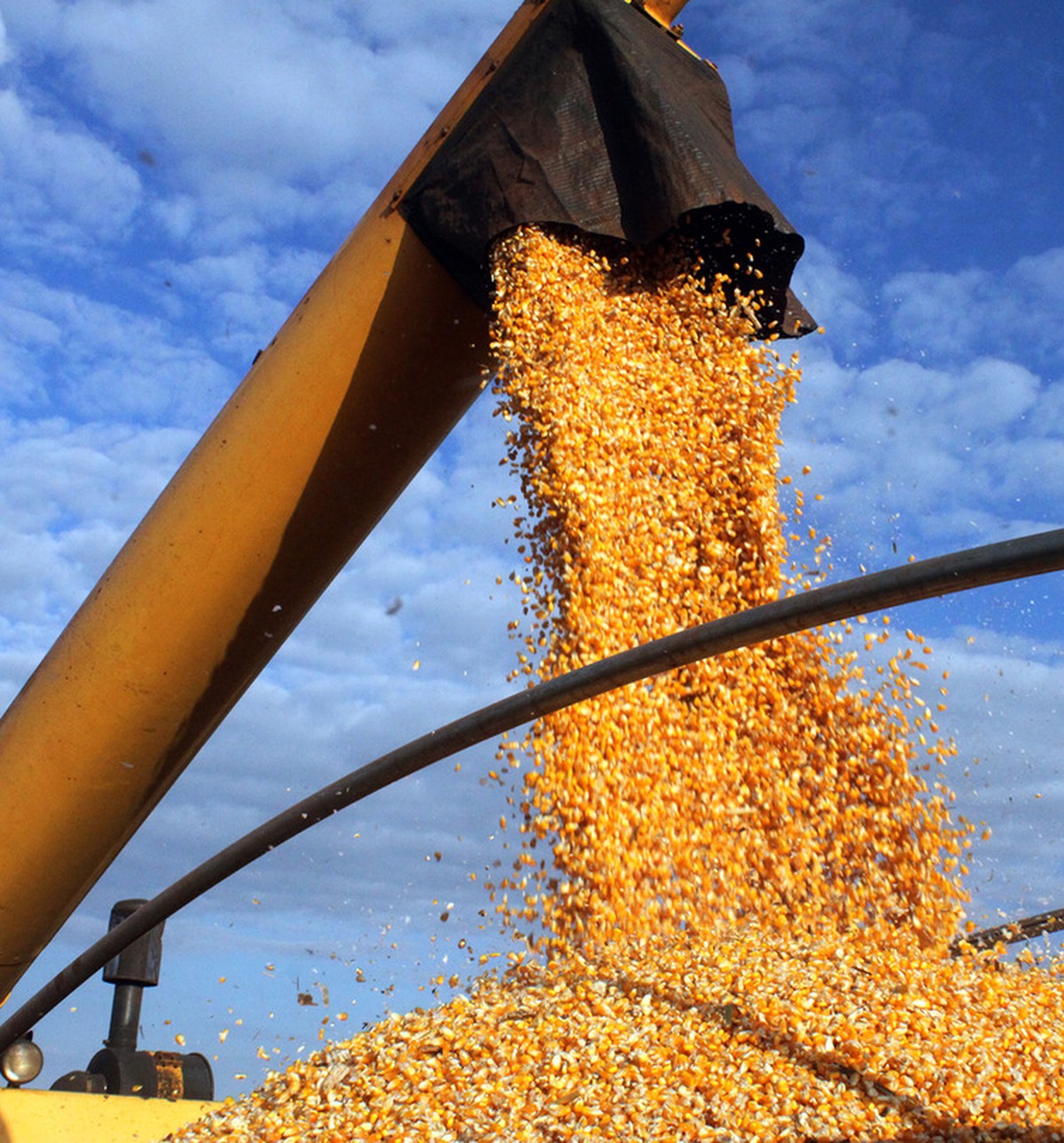 A vez do milho | Agronegócios | Valor Econômico