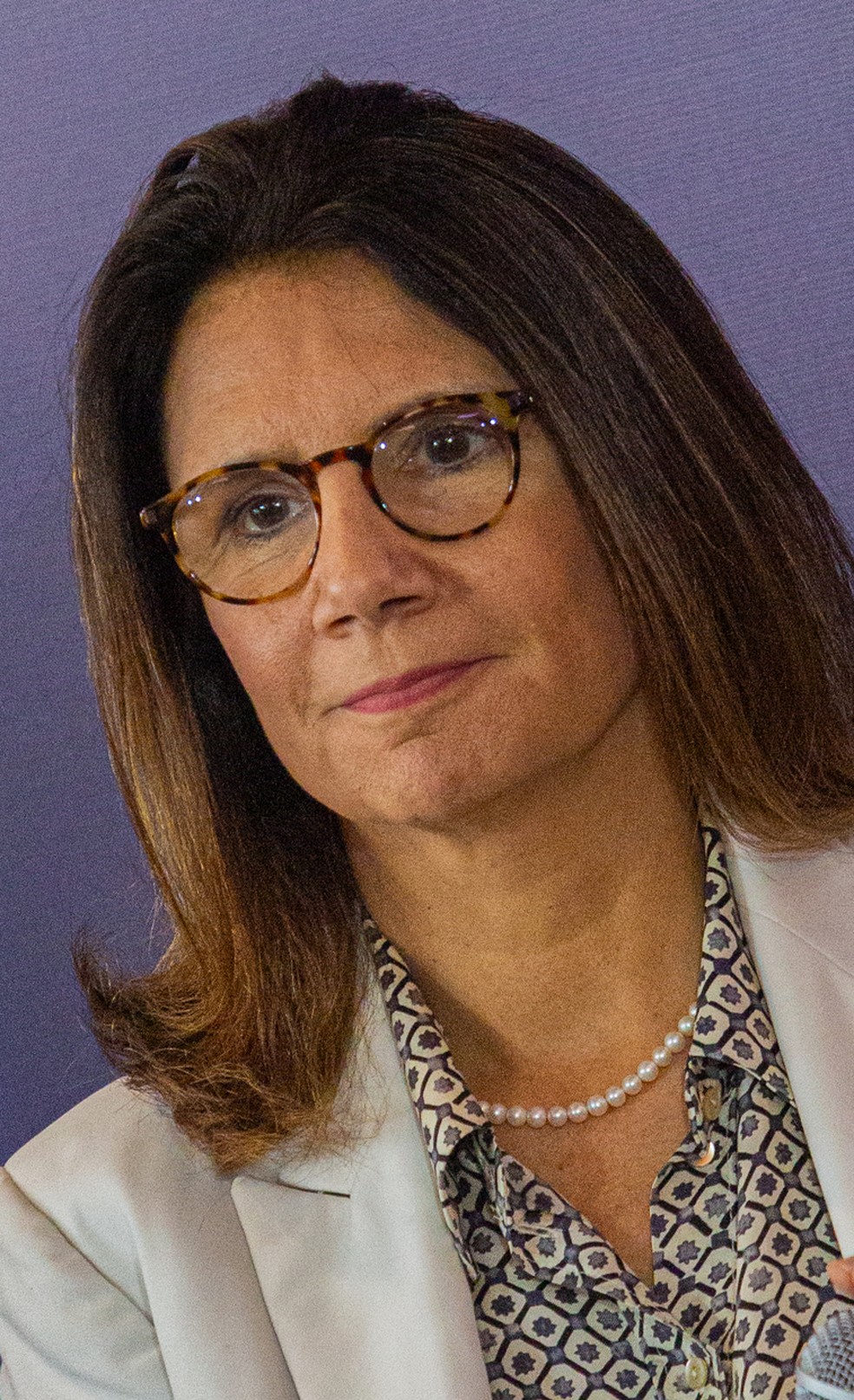 País já enfrenta eventos extremos previstos para 2035, diz Ana Toni ...