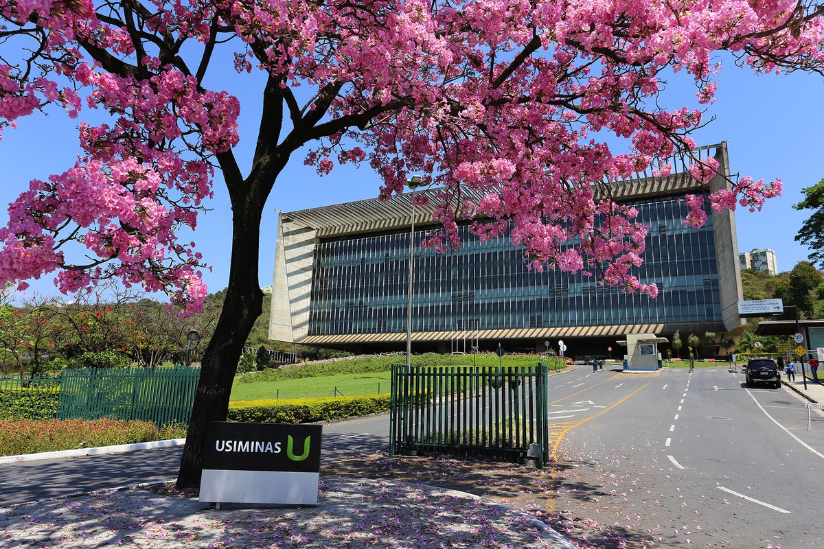 Usiminas projeta alta de 20% na produtividade em 2024 após reforma do ...