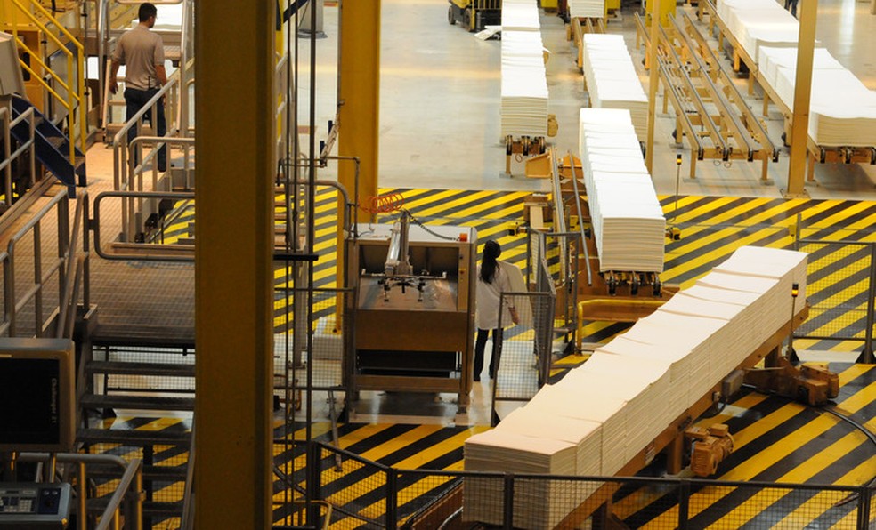 Suzano e Paper Excellence travam disputa pelo controle da Fibria ...