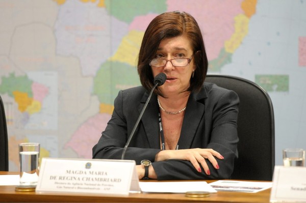 Entenda o passo a passo para Magda Chambriard assumir a presidência da ...