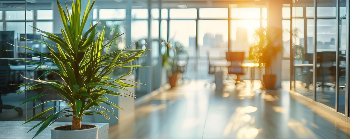 Empresas enfrentam maior rigor técnico para acessar crédito | Dino ...