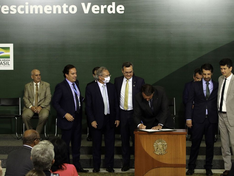 Às vésperas da COP26, governo lança Programa Nacional de Crescimento ...