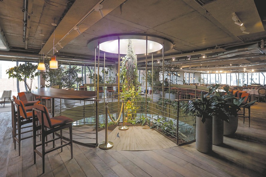 AYA Earth Partners nasce com impacto positivo para negócios, natureza e pessoas | Aya | Valor ...