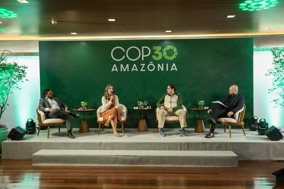 Restauração de florestas e vegetação é fundamental para o PIB e ...