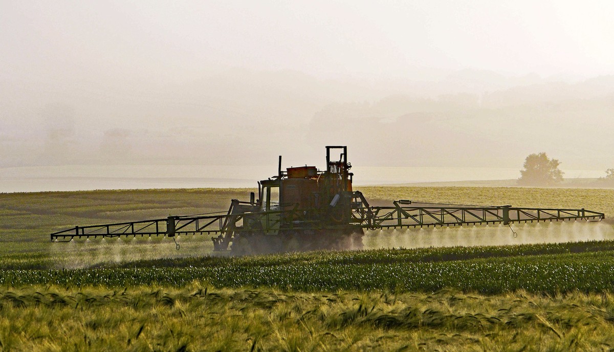 Lavoro compra a NS Agro e chega a Peru e Chile, diz agência ...