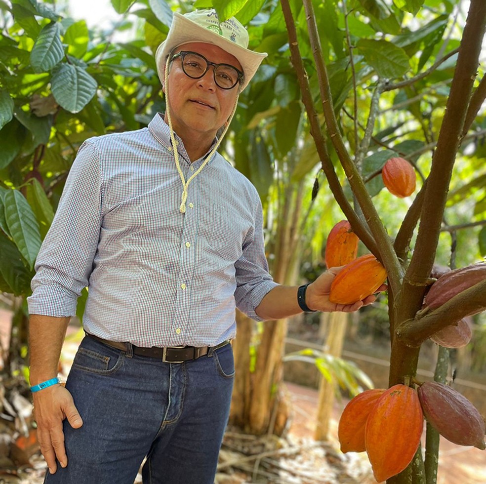 Manejo consciente valoriza os alimentos da floresta | Suplementos ...