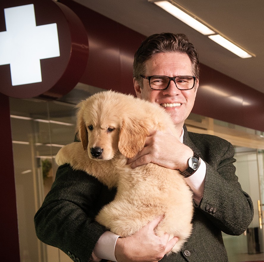 Continuamos prospectando o mercado, diz presidente da Petz | Empresas ...