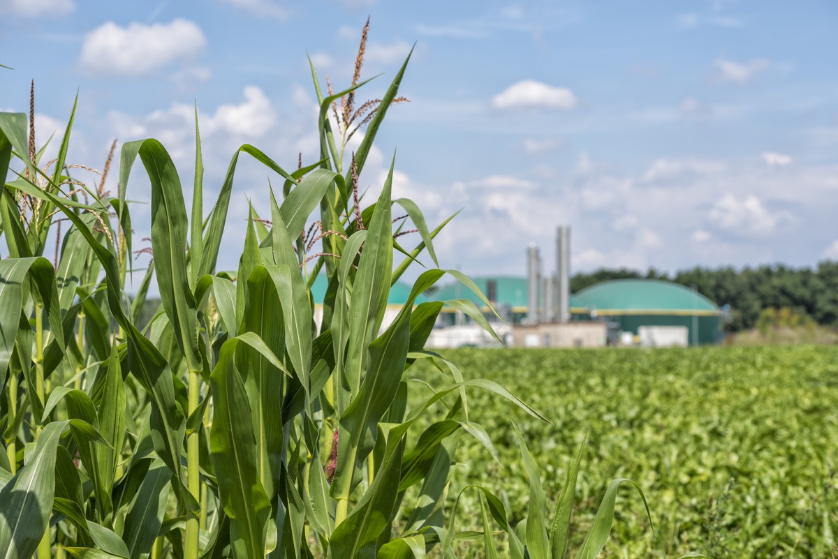 Regera obtém aval da ANP e vai investir R$ 15 milhões em unidade de ...