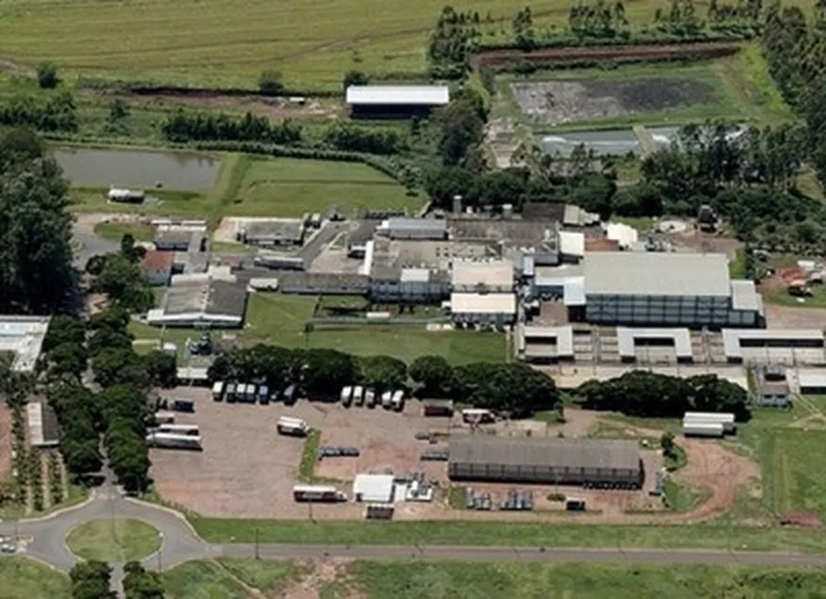 Minerva capta US$ 600 milhões com bonds de dez anos, dizem fontes ...