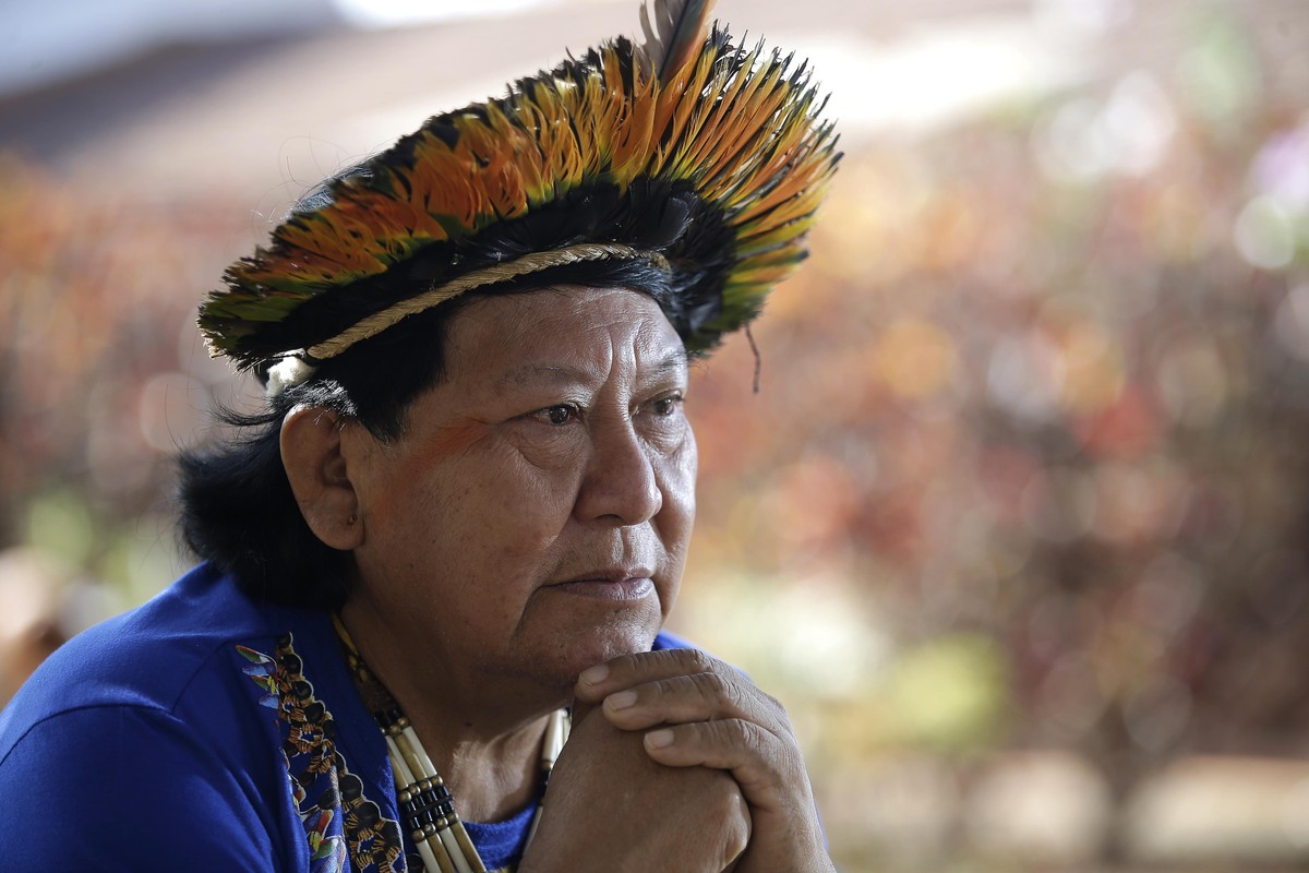 'Eles são muitos... Morreu metade do meu povo', diz líder Yanomami ...