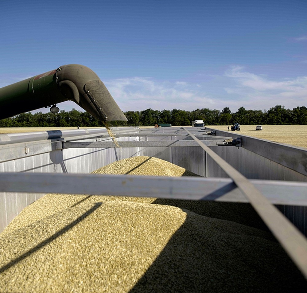 Commodities: Fundos liquidam posições, e trigo recua em Chicago ...