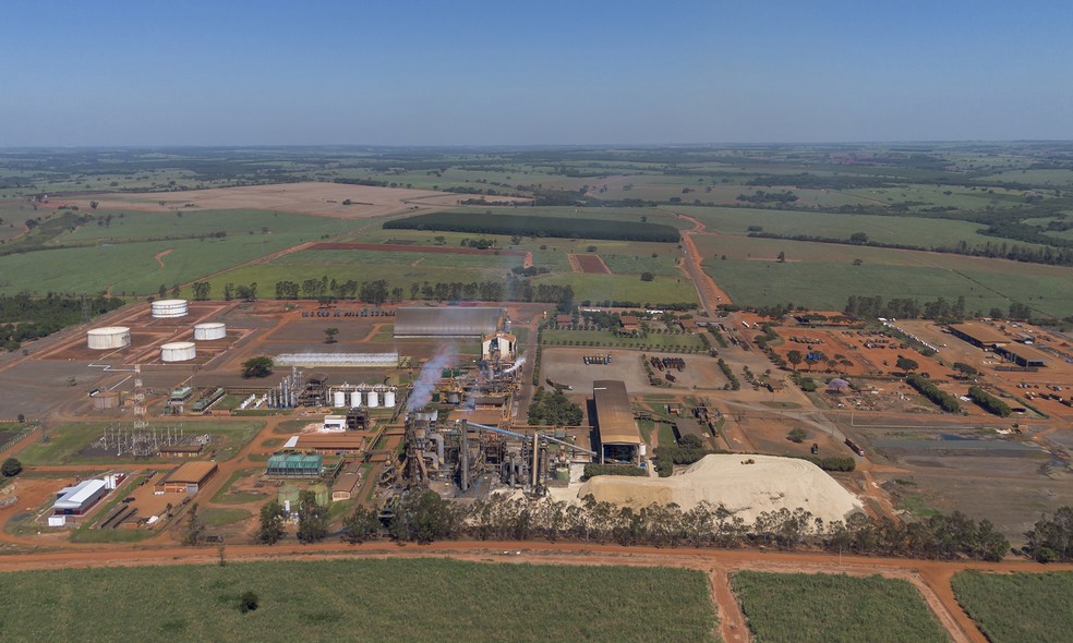 Seca e queimadas derrubam produtividade nos canaviais | Agronegócio ...