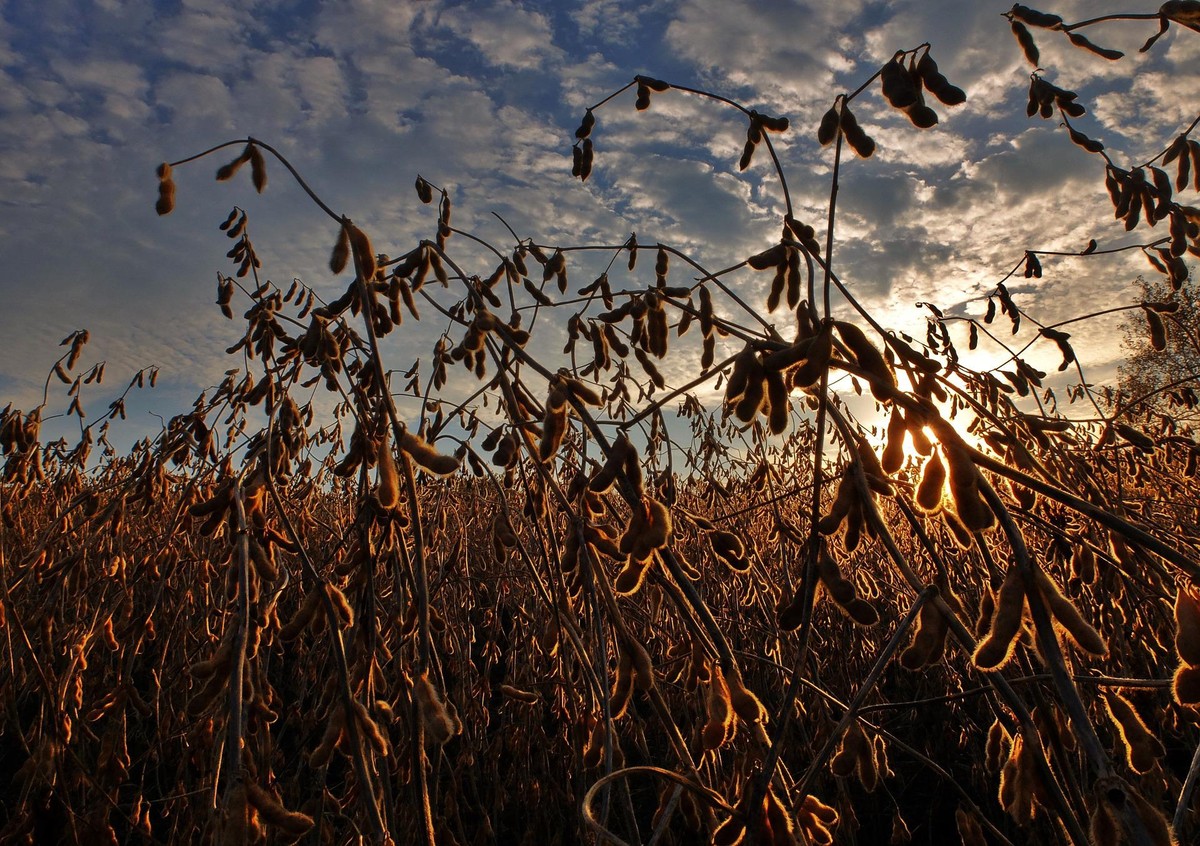 Com crise no agro, volume de CRAs emitidos tem 1ª queda desde 2021 ...