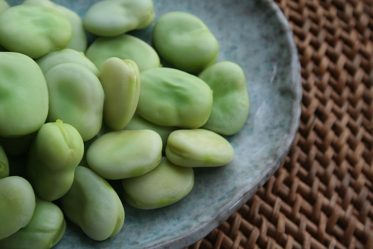 Fava é nova aposta da indústria plant-based na Europa | Agronegócios ...