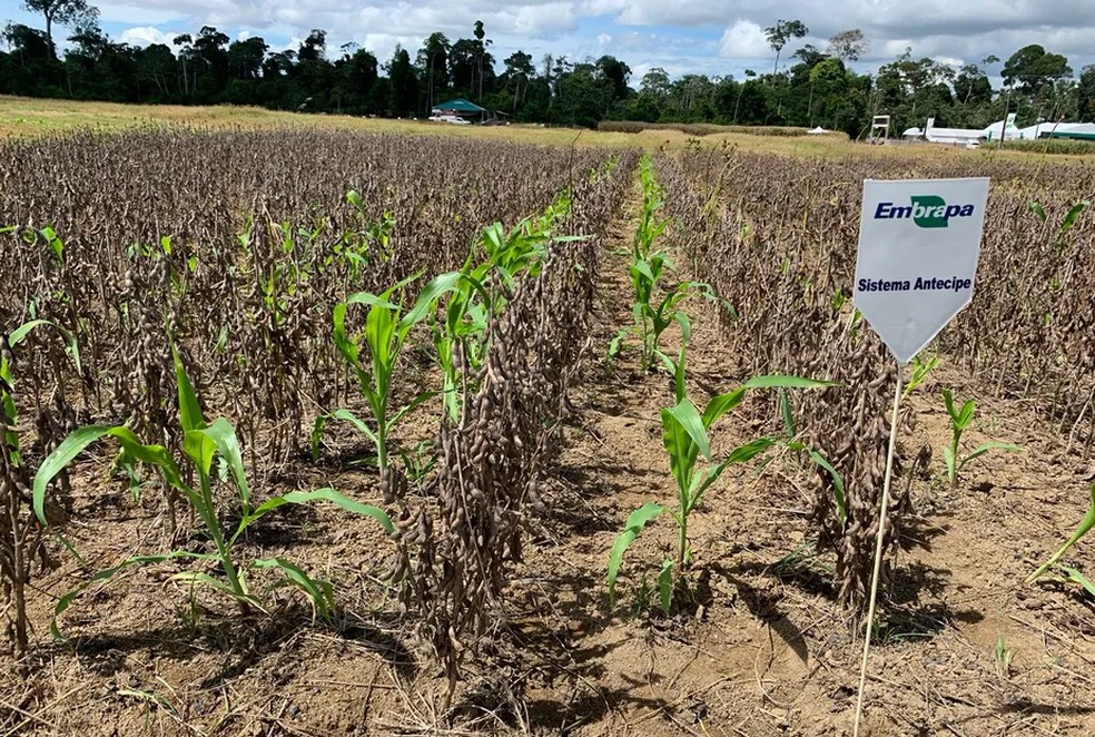 Lula reforça em R$ 230,891 milhões o orçamento do Ministério da ...