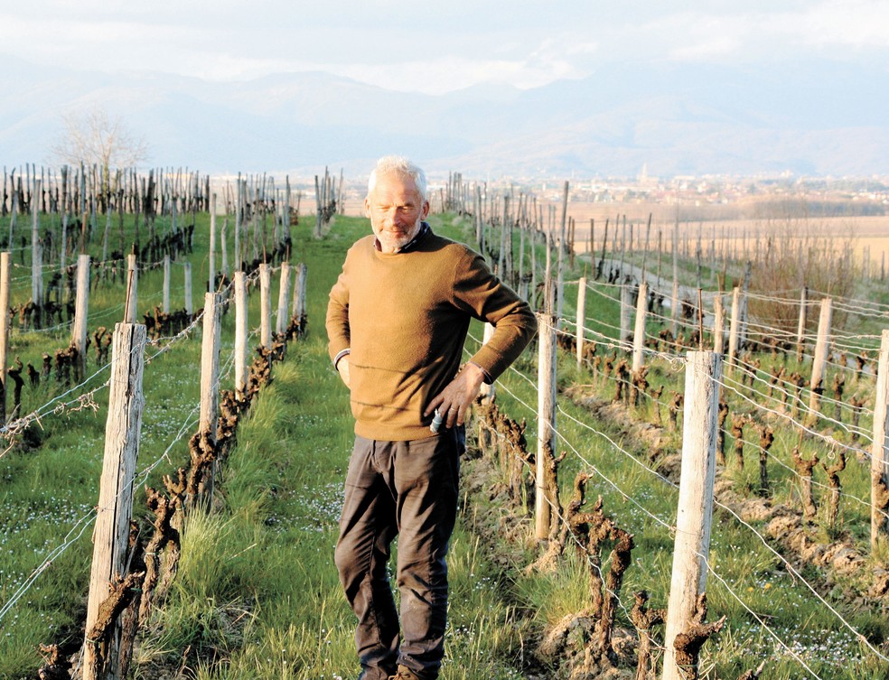 A excelência dos brancos (e tintos) do Friuli | Eu & | Valor Econômico