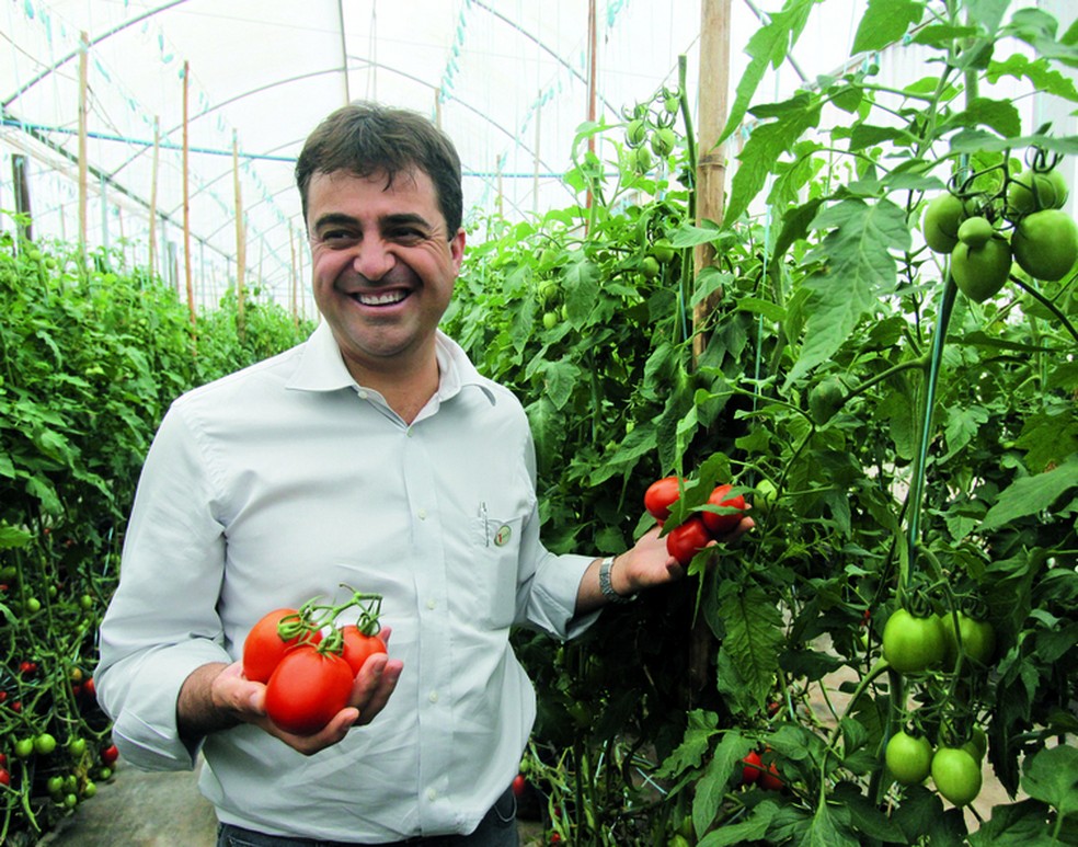 Tomates gourmet ampliam presença em supermercados | Agronegócios ...